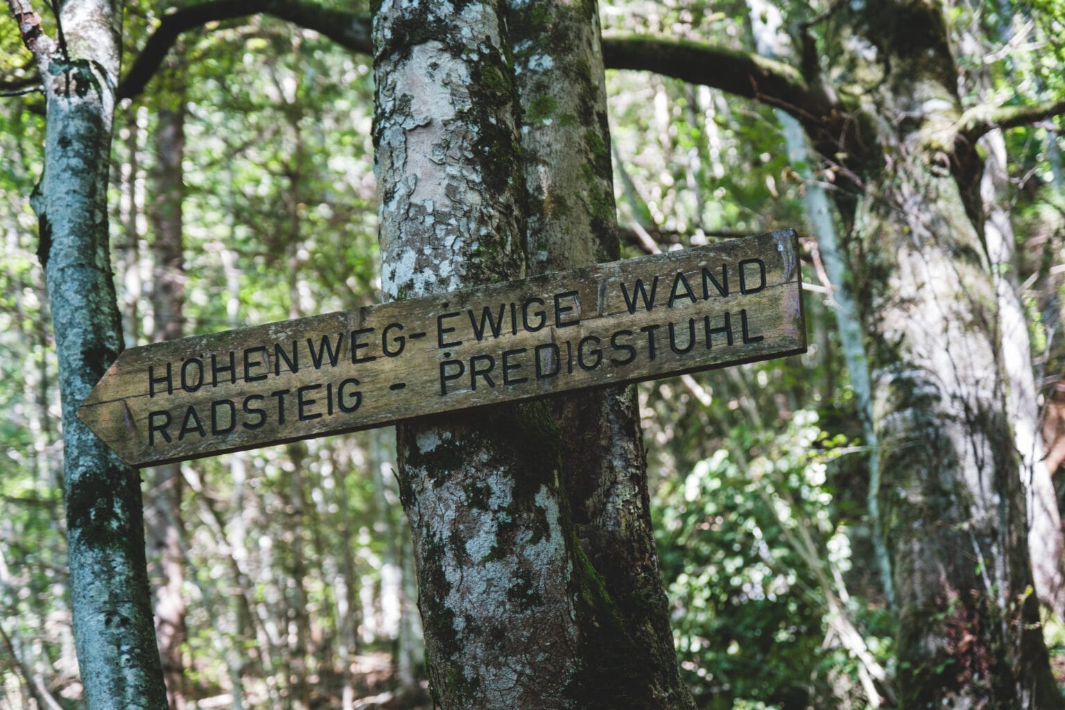 Ewige Wand Wanderung – Runde von Bad Goisern
