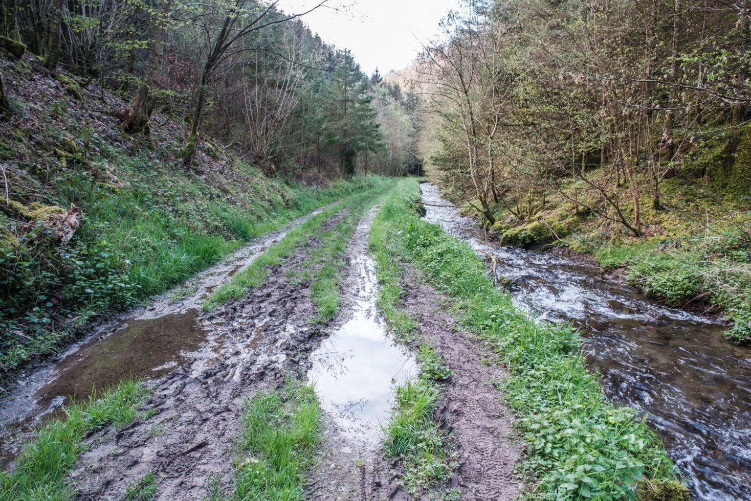 Wandern in Luxemburg – 3 unvergessliche Touren zwischen Eislek und ...
