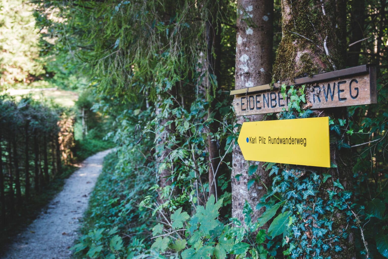 Ewige Wand Wanderung – Runde von Bad Goisern