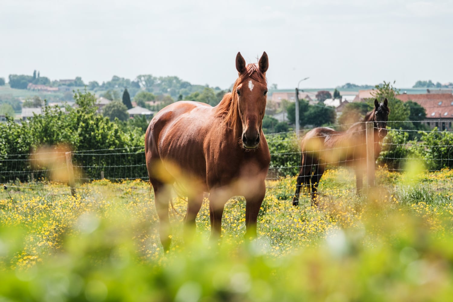 Flandern anders erleben – Meine Tipps für Aktivitäten
