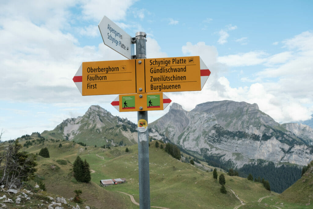 Wanderung Schynige Platte - First: Tour in den Berner Alpen